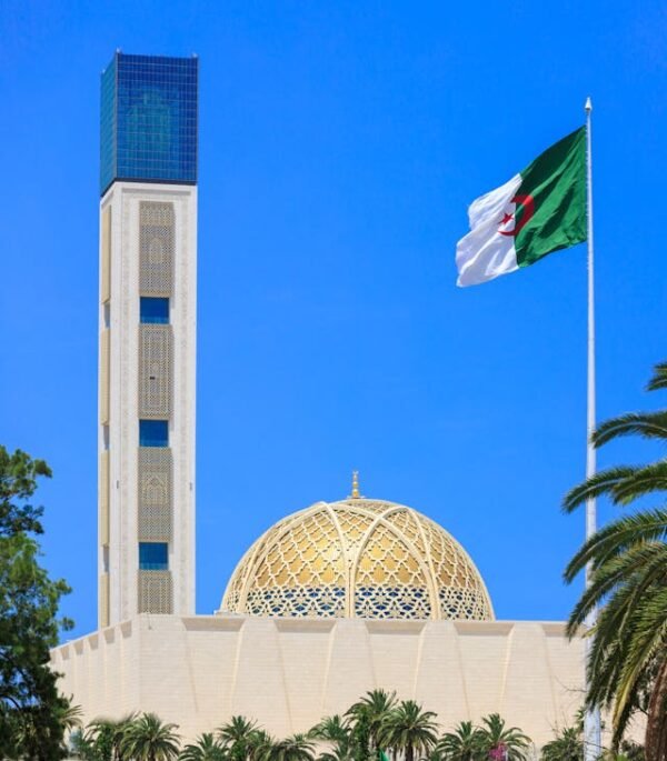 Où Manger À Alger? Trouvez 100 Restaurants Incontournables